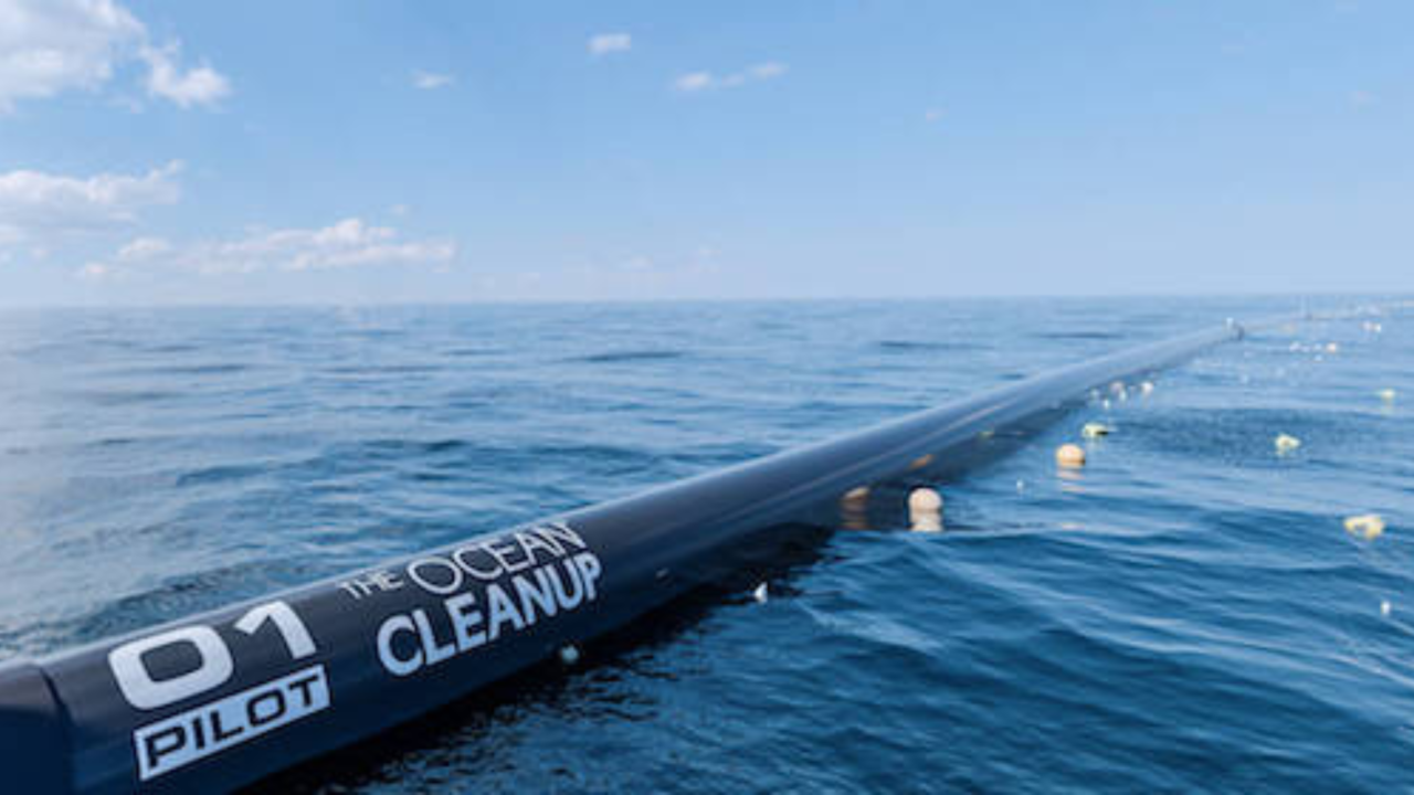 Learn the Fundamentals of Blue Ocean Strategy