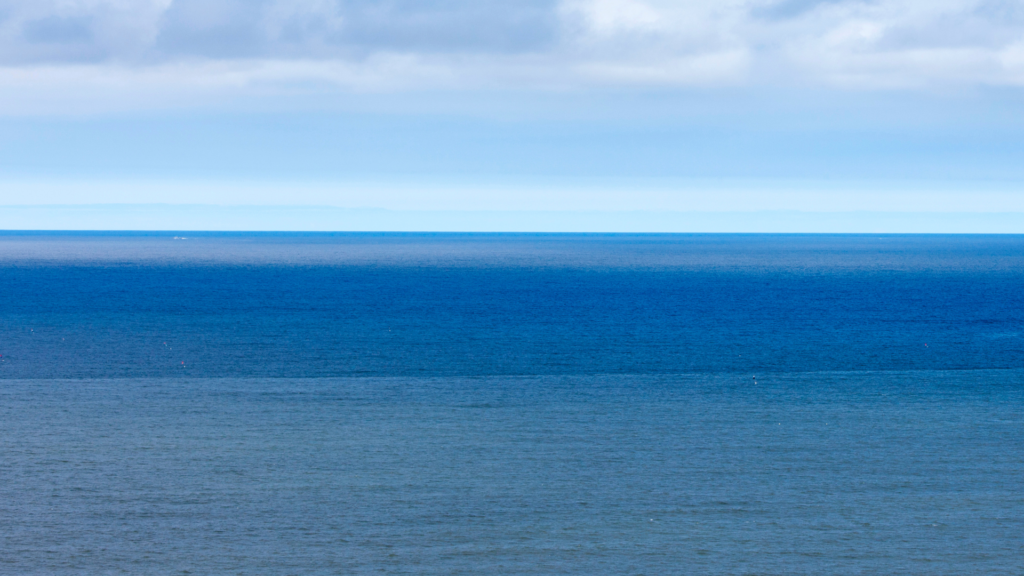 Using Competition to Learn to Create - Blue Ocean Student Entrepreneur ...